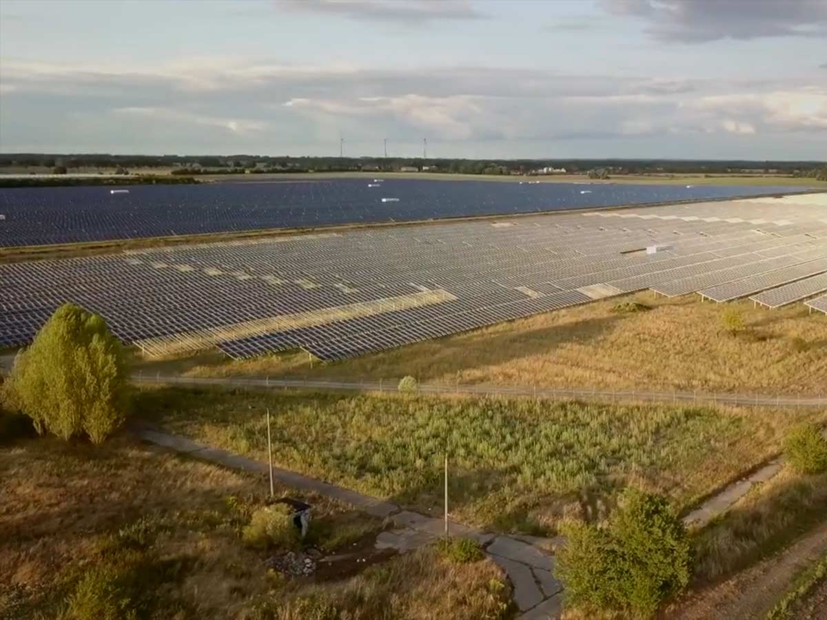 Pollinator Friendly Utility Scale Solar Projects - FDCE Inc.