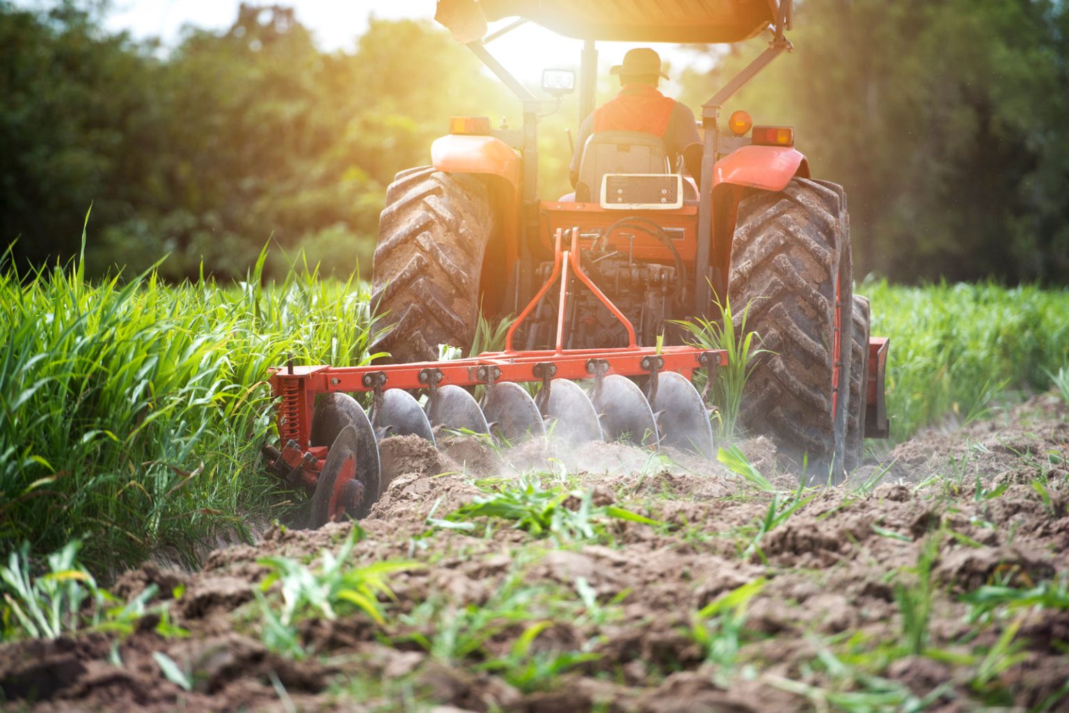 FDCE Inc. - Conservation, Bioenergy & Solar Vegetation